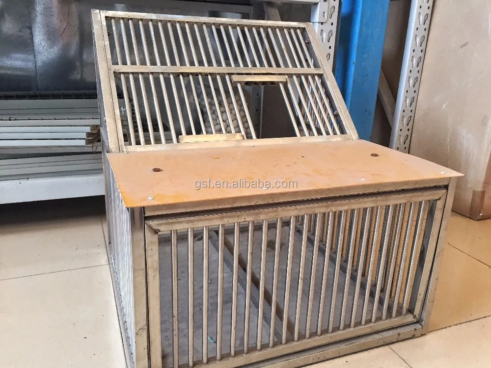 Foldable Metal Jump Cage For Racing Pigeon Bird In Champion - Buy ...