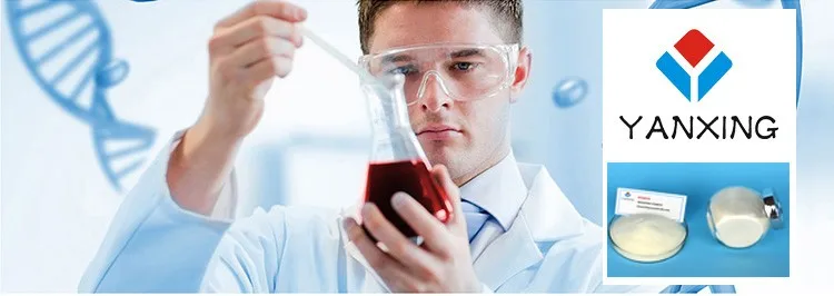 High Viscosity Modified Starch - Versatile Industrial Use