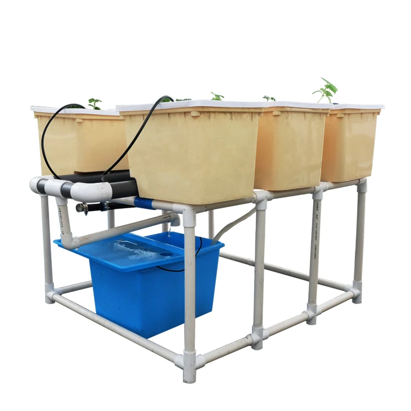 Dutch Bucket Hydroponic System for Greenhouse Vegetable Growth