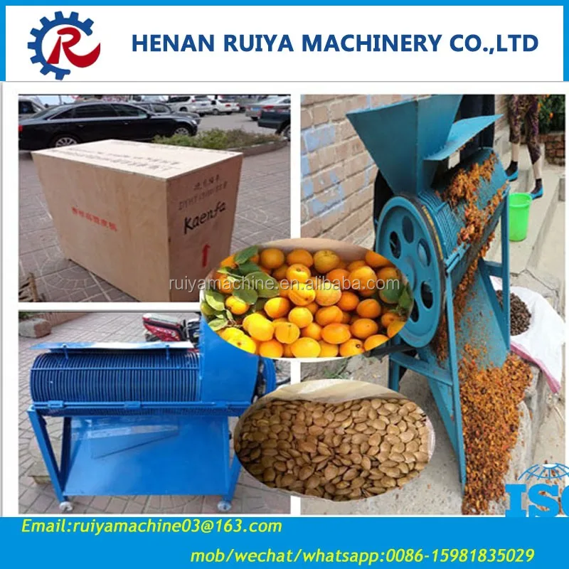 Automatic Apricot Apricot Flesh Separator/good Quality Almond Shelling ...