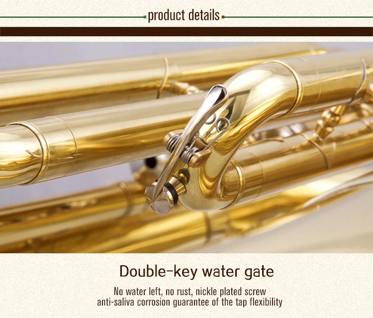Professional Gold Lacquer Brass Tuba - Taishan TSTB-930