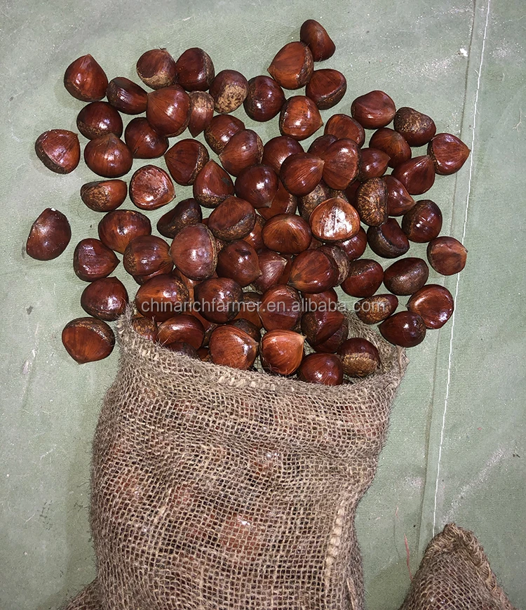 Chinese Fresh Chestnut Size 40-50pcs/kg - Buy Sweet Chestnut,Fresh ...