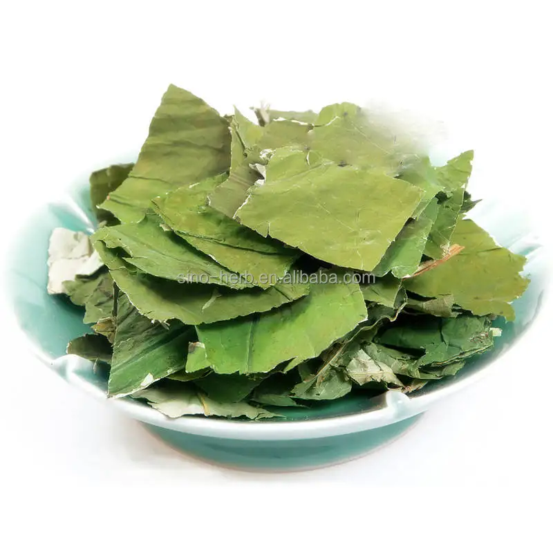 Free Sample Dried Chinese Lotus Leaf Herb For Losing Weight Slimming ...