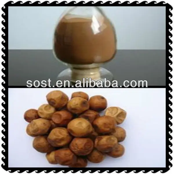 Top Quality Fructus Meliae Toosendan P.e - Buy Fructus Meliae Toosendan ...