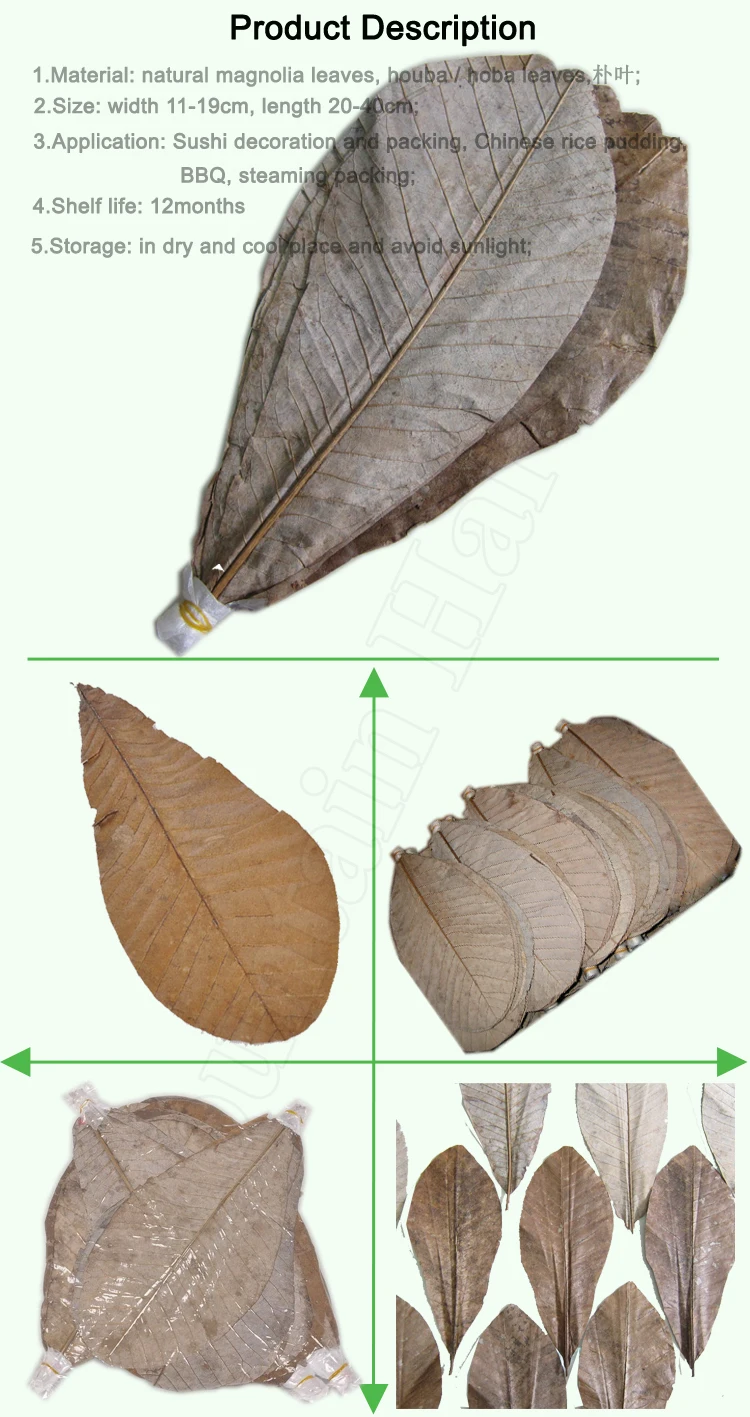 Dried Hoba Leaves for Sushi Decoration - 100% Natural, Wild Origin ...