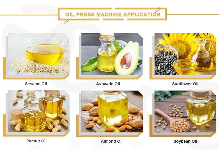New High Pressure Press Oil Cocoa Beans Oil Extraction Cocoa Bean Oil ...