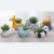 Roogo Home Resin Outdoor Mini Garden Desktop Succulent Green Plant ...