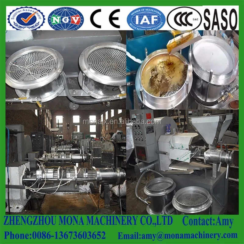 Black Soldier Fly Larvae |black Seed Oil Press Machine|soyabean Moringa ...