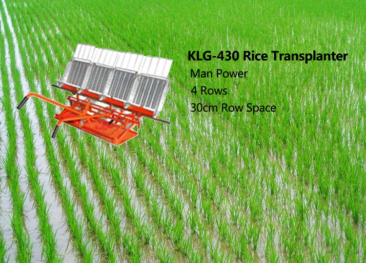 Manual Paddy Planting Machine Rice Transplanter - Buy Paddy Planting ...