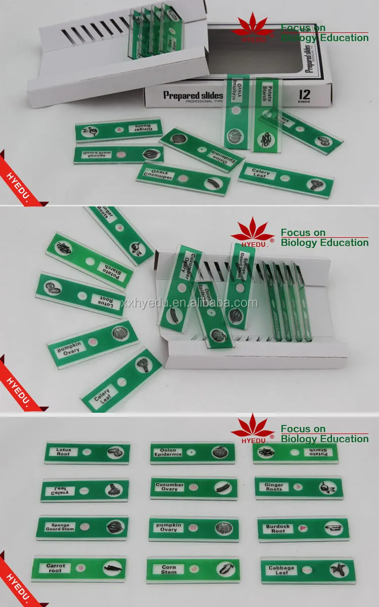 Low Price 12pcs Kids Plastic Microscope Slides Toy(green Set ...