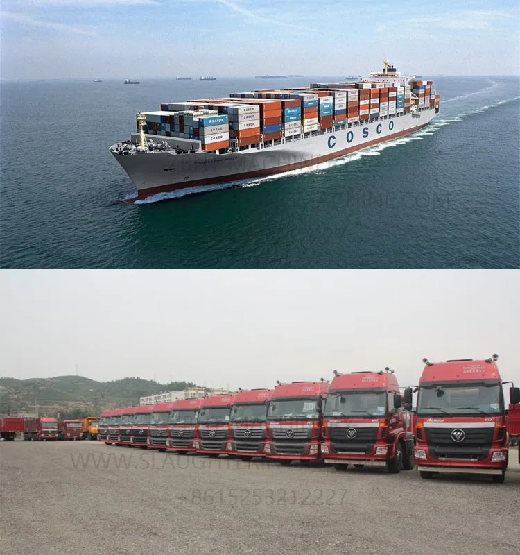 Cattle Slaughter Line - Efficient and Reliable Solutions