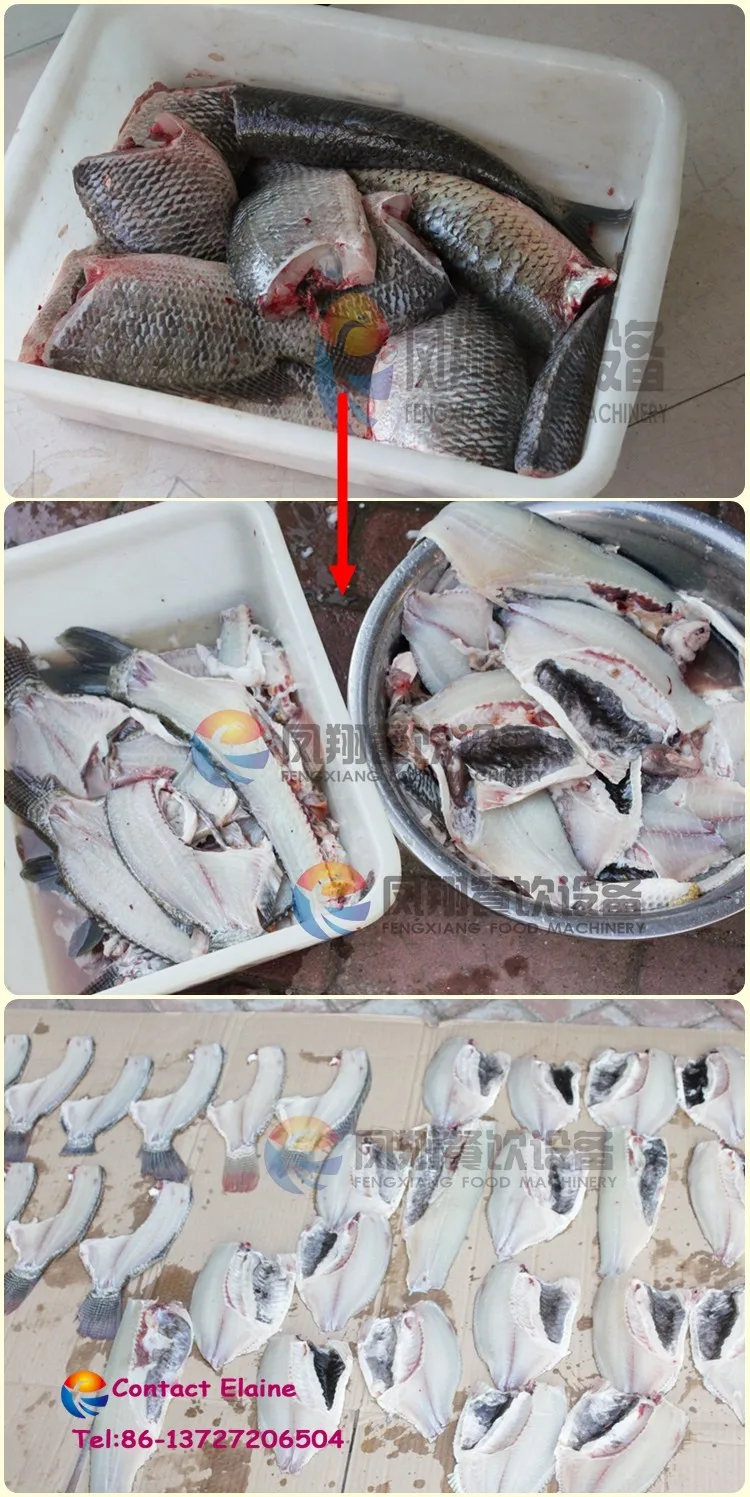 Industrial Automatic Tilapia Fish Processing Filleting Machine For ...