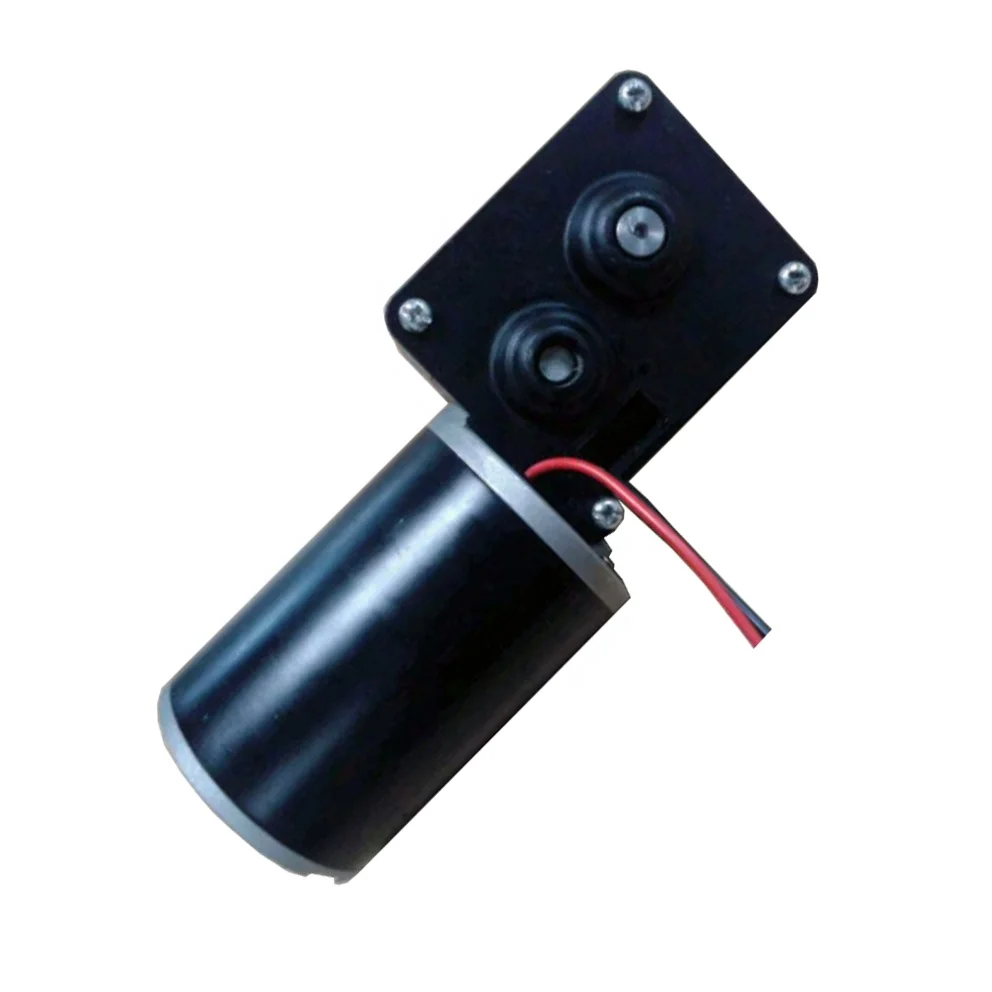 24V DC Worm Gearbox High Torque Motor 10nm with Dual Shaft