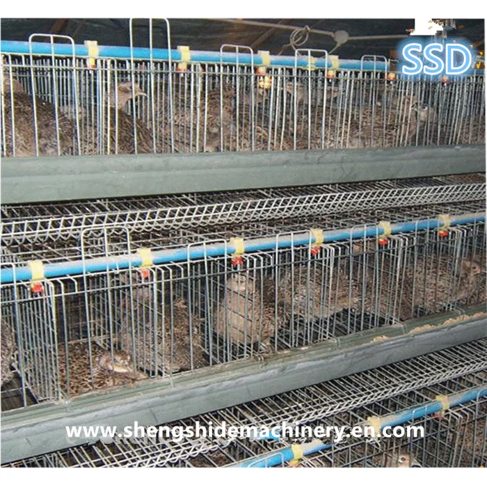 Wire Mesh Quail Farm Cage Prices For Sale - Buy Quail Cage,Quail Cage ...
