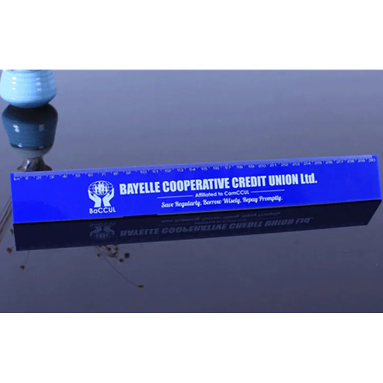 Promotional Ruler Custom Logo Kid Printed Gift Safe Plastic Ruler For ...