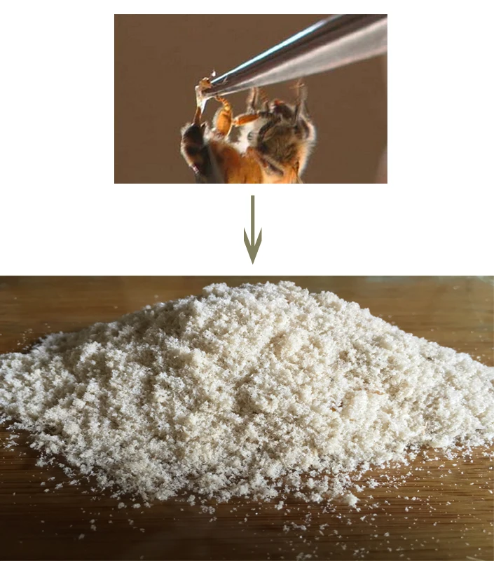Hot Selling Bee Venom Extract Bee Venom - Buy Pure Bee Venom,Bee Venom ...
