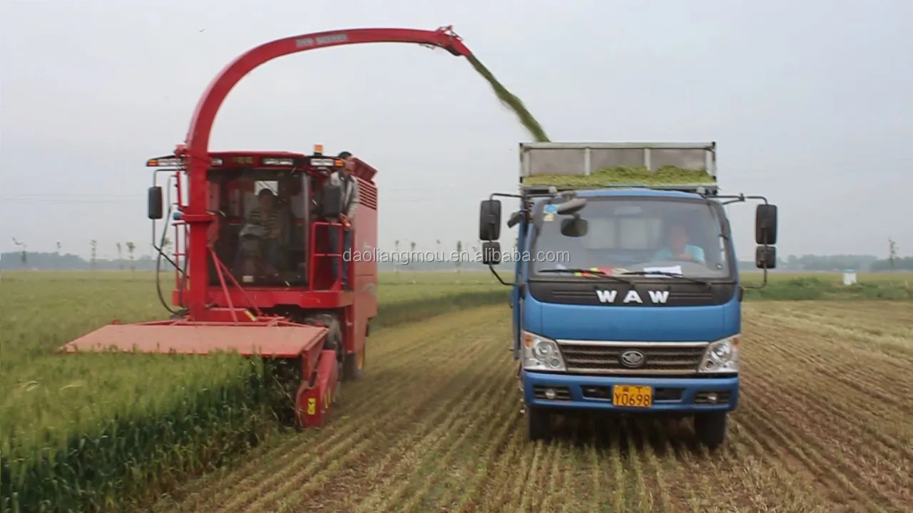 Mini Sorghum Wheat Combine Silage Forage Harvester for Biomass Fuel Making