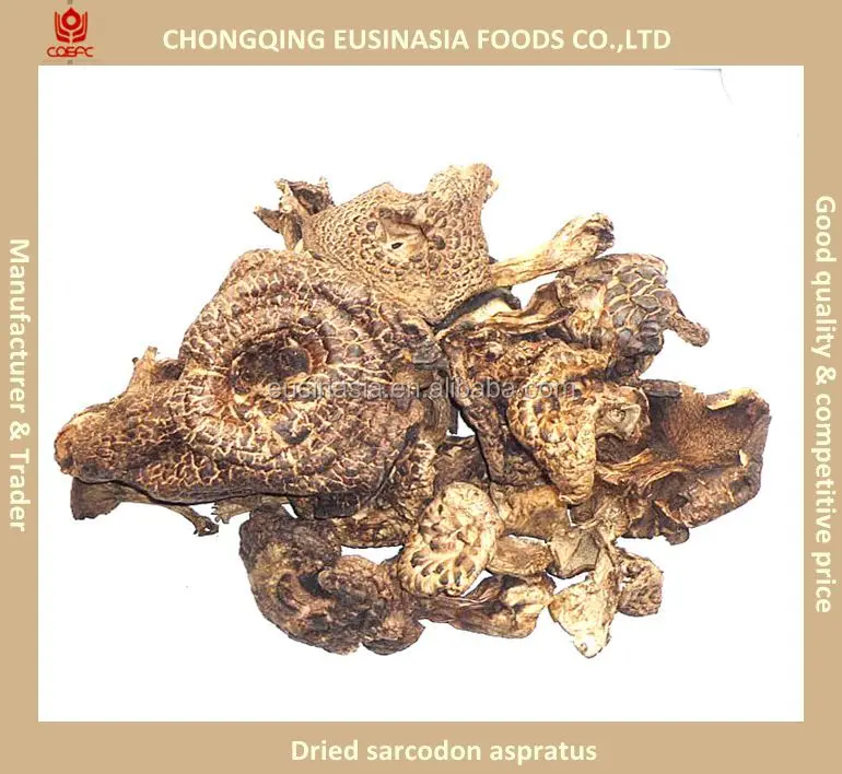 Dried Saarcodon Imbricatum Mushroom For Sale - Buy Saarcodon Imbricatum ...