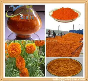 Marigold Flower Extract/dried Marigold Petals 10% Lutein Powder - Buy ...