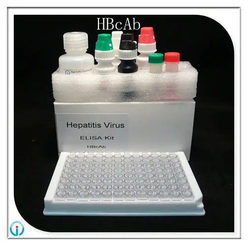 Hepatitis B Treatment Hbcab,Hbcab Elisa Test Kit - Buy Hepatitis B ...