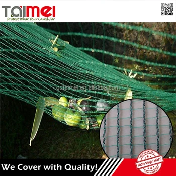 China Supply Olive Fruit Catching Net - Buy Fruit Catcher Net,Olivenet ...