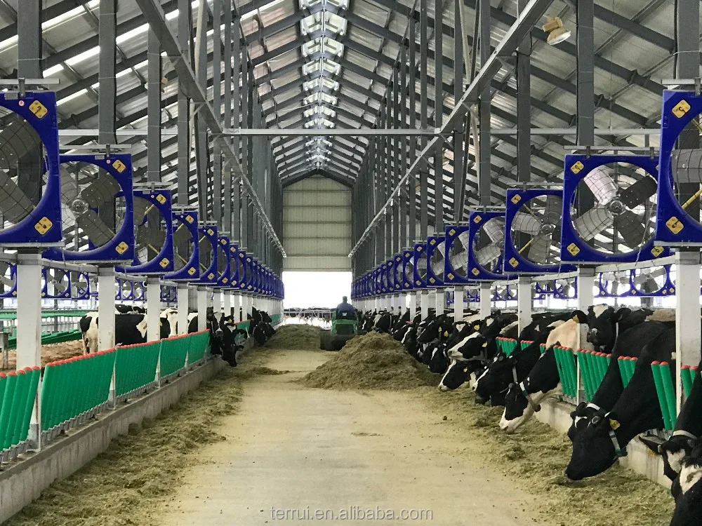 220v Fan For Dairy / Custom Fan For Farm / Fan For Barn Cattle Cows ...