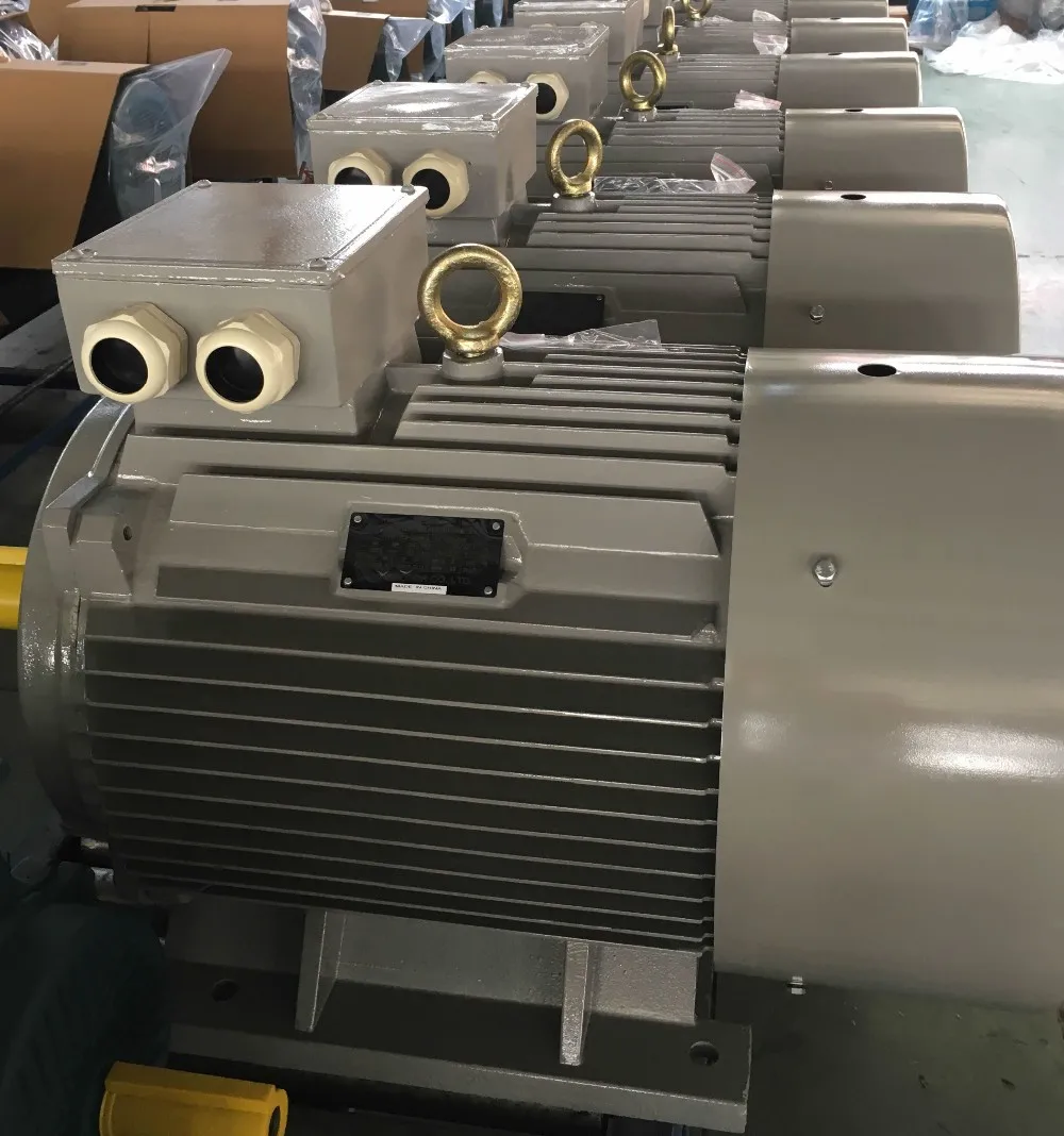 110kw 315l Frame Electric Ac Squirrel-cage Induction Motor - Buy Ac ...
