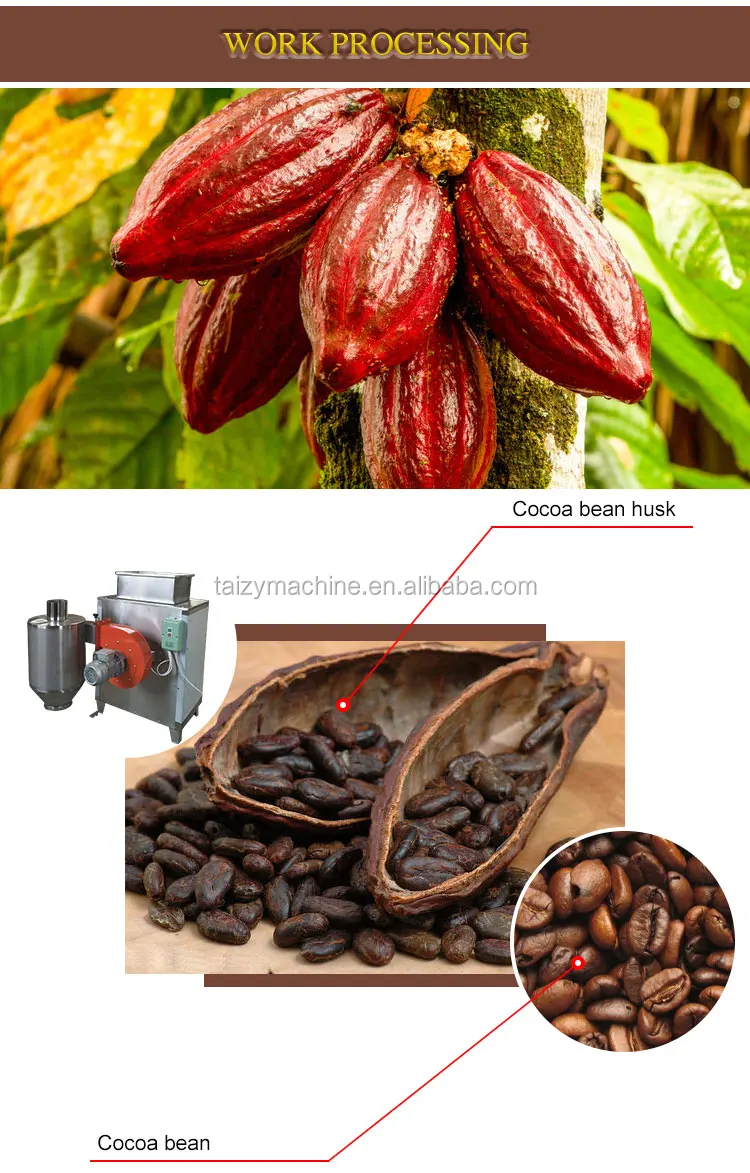 Automatic Cacao Winnower - Efficient Cocoa Processing