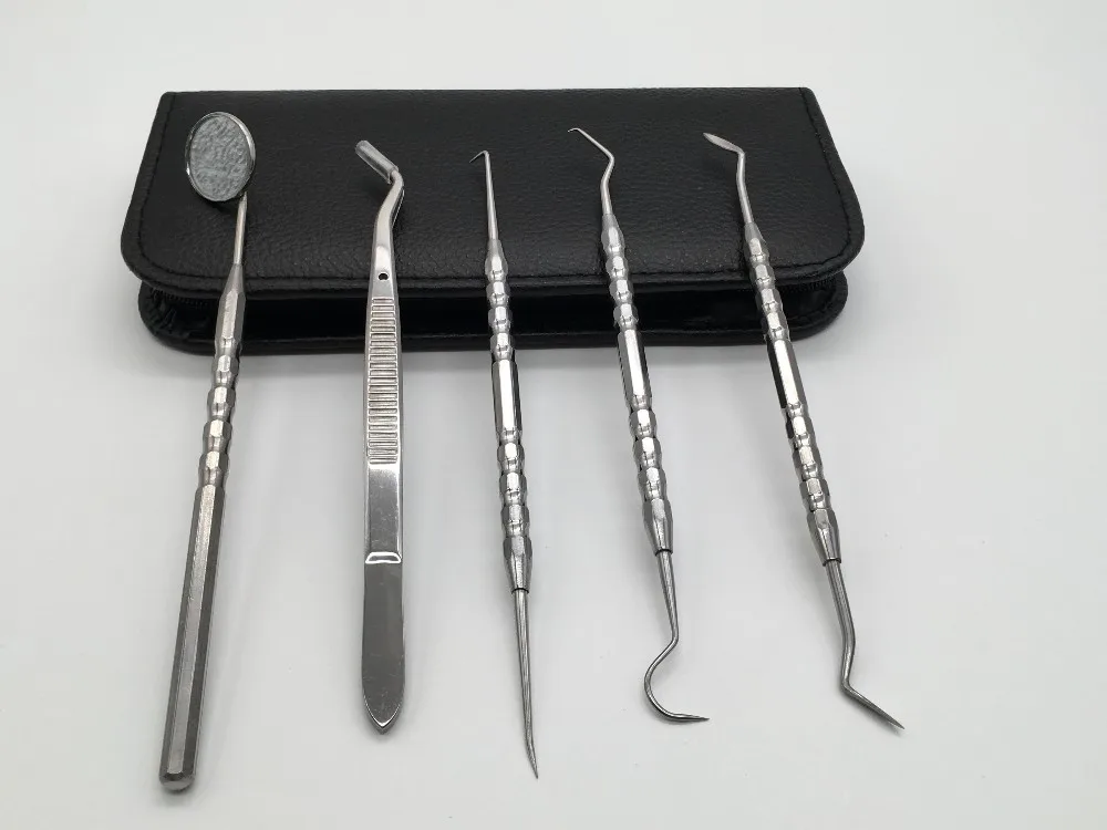 Dental Hygiene Instrument Kit