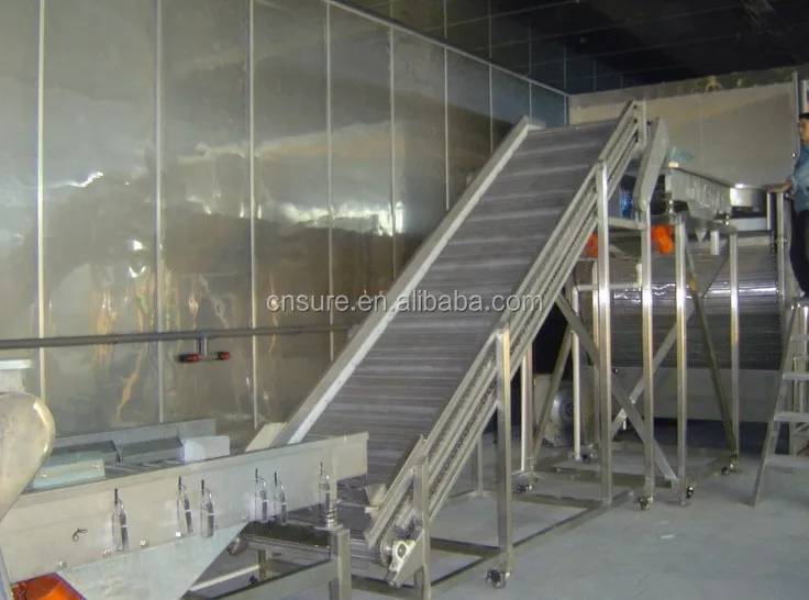 Iqf Frozen Spinach Leaf/fries/chips/carrot/ Cauliflower/chicory/cabbage ...