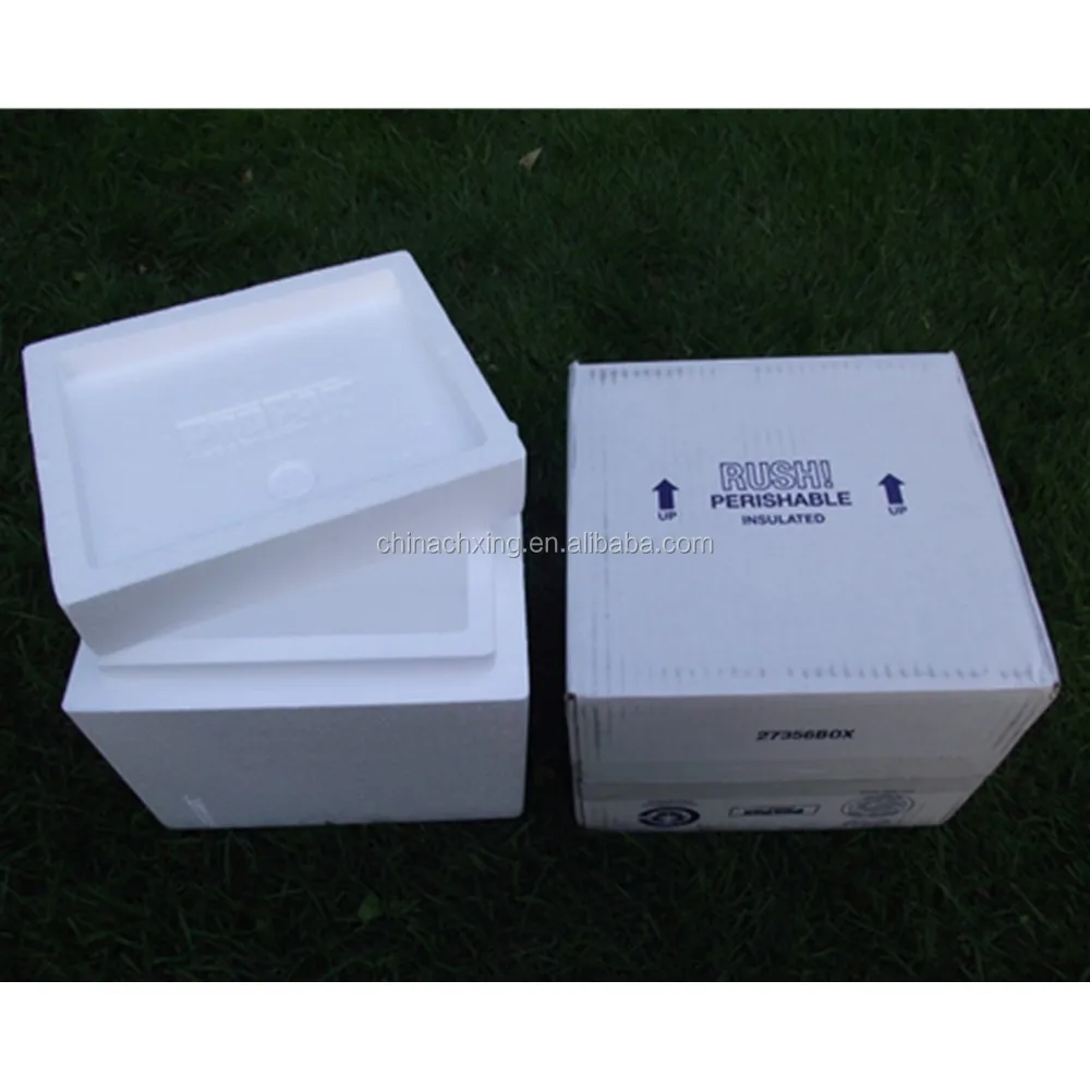 Customized Polystyrene Foam Containers - Insulation & Transport