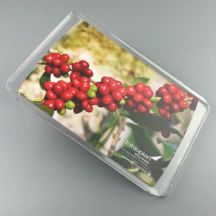 Custom Printed Disposable Anti-Slip Tray Liner for Airline Meals