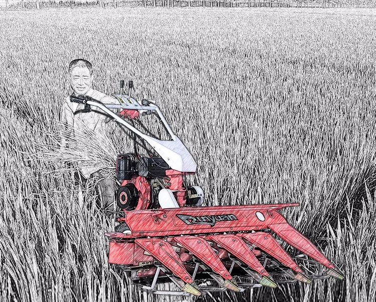 Wheat Rice Tractor Reaper Machine,Rice Reaper Combine Harvester - Buy ...