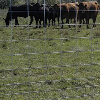 Feedlot Panel,Combo Fence Panels,16 Ft. L X 50 In. H - Buy Combo Fence ...