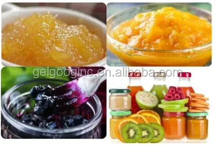 Gelgoog Machinery Automatic Tamarind Paste Making Machine