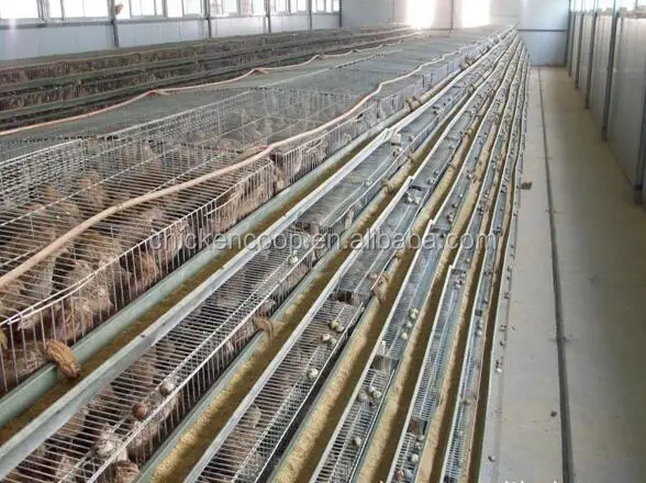 Jinmuren Automatic Quail Cage And Quail Farming Equipment - Buy Quail ...