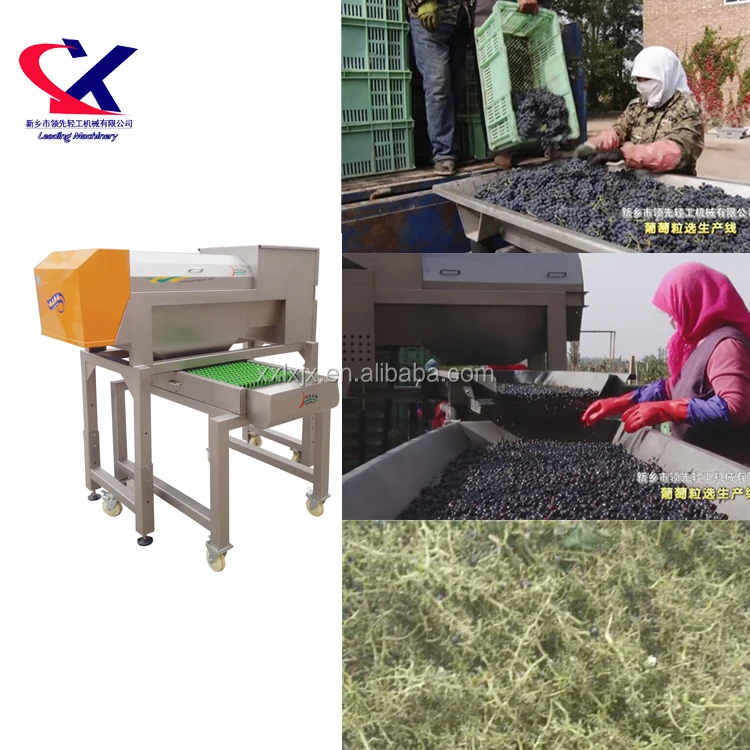 Highly Recommended Grape Press Machine Grape Crusher Destemmer - Buy ...