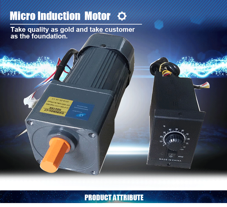220v Induction Ac Speed Control Electric Motor For Conveyor Belt - Buy ...