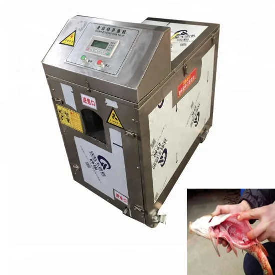 Efficient Fish Killing and Cleaning Machine - Quate GS-1200