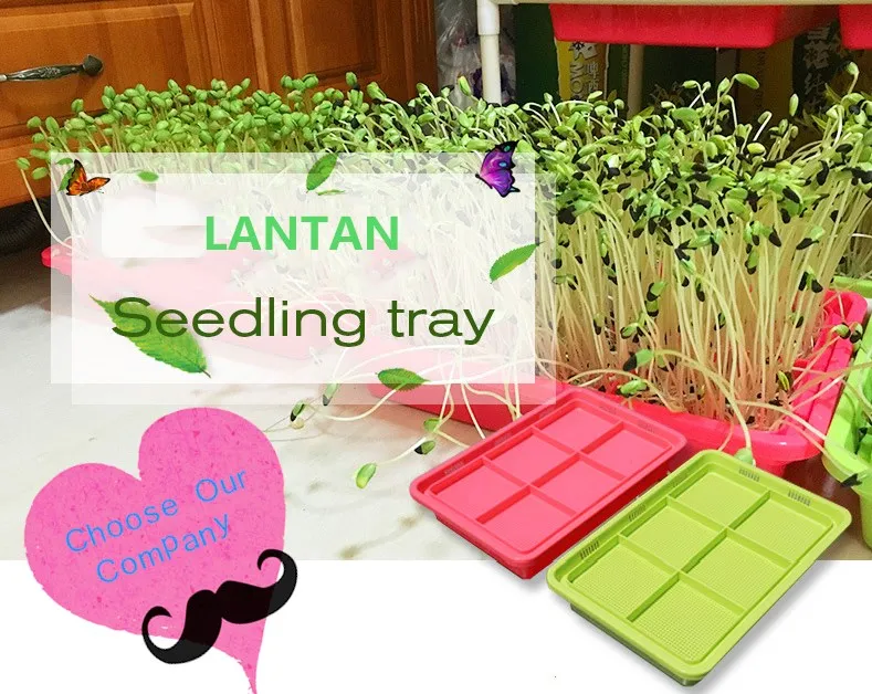 Hydroponic Bean Sprouts Growing System Plastic Plant Germination Tray ...