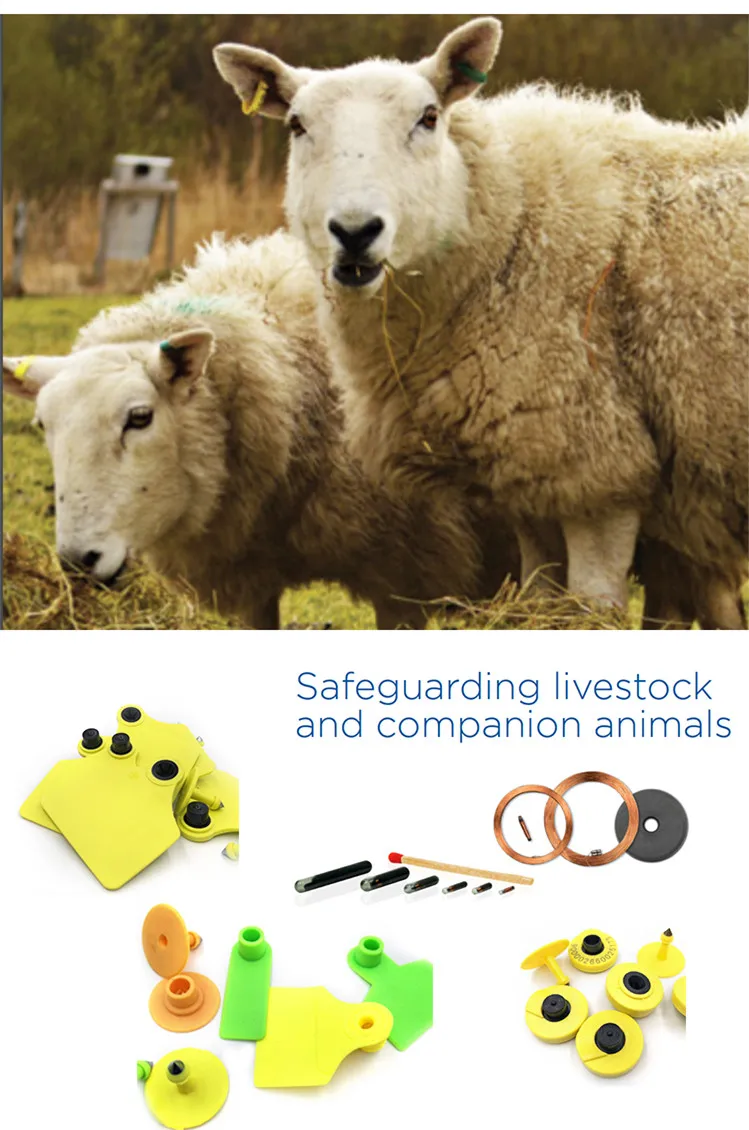 High Quality Ear Tag Rfid Long Range Rfid Cattle Ear Tag Rfid Sheep Ear ...