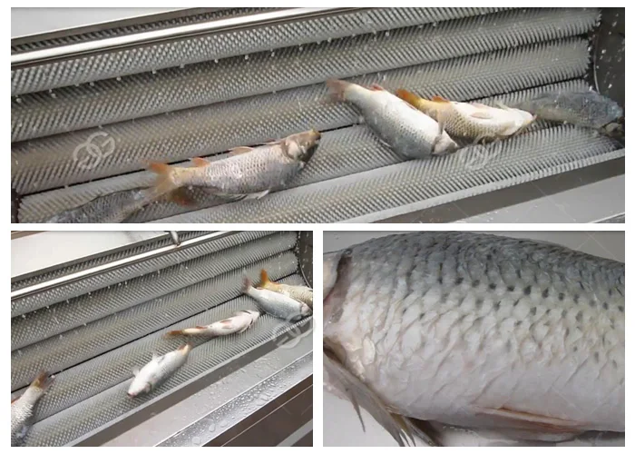 Complete Line Fish Speed Cleaning Machine Fish Washing Machinery ...