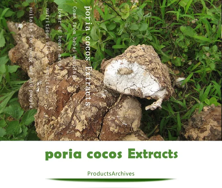 2018 Best Selling White Poria Cocos Extract 10%-40% - Buy White Poria ...