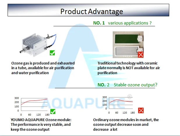 5g/hr Corona Discharge Ozone Cell With Cooling Fan For Private Swimming ...