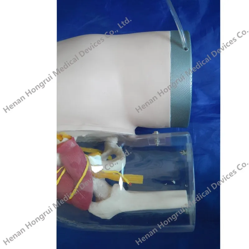 Advanced Nursing Training Intramuscular Injection Buttock Model ...