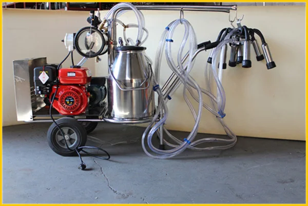 Portable Cow Milking Machine For Sale - Buy Cow Milking Machine milking ...