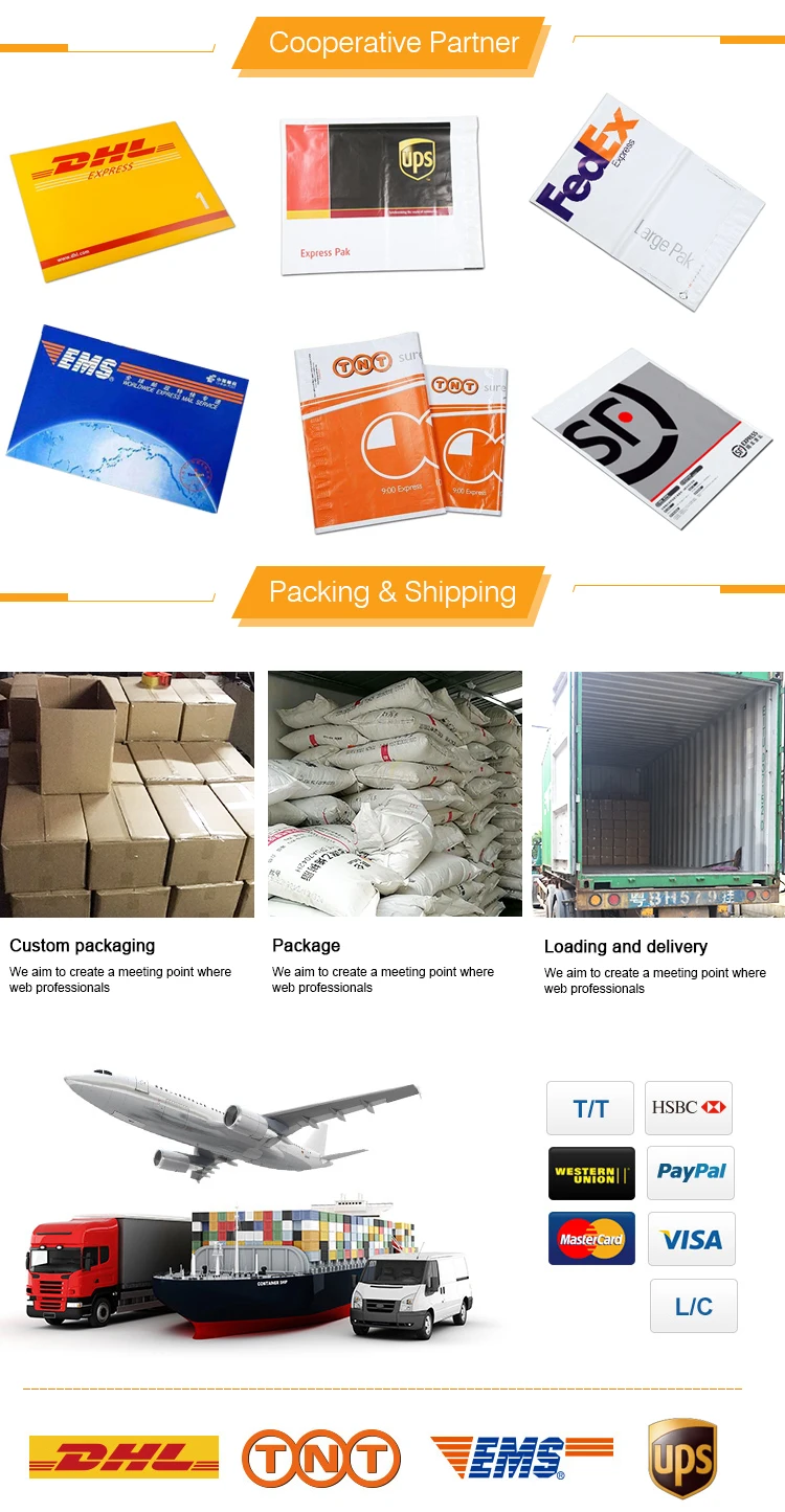 Delivery Shipping Packaging - Polly Pocket Plastic Bag