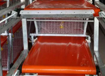 Poutry Manure Belt/conveyor Belt For Layer/broiler/chicken/battery ...