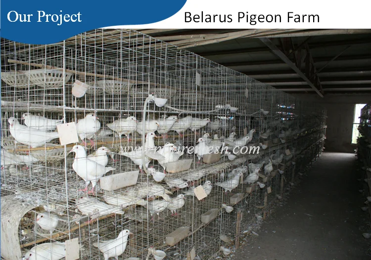 Nianfa Cheap Pigeon Cages with Food Box and Water Box