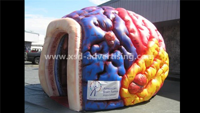 Lifelike 4m Giant Inflatable Brain / Colorful Inflatable Brain Replica ...
